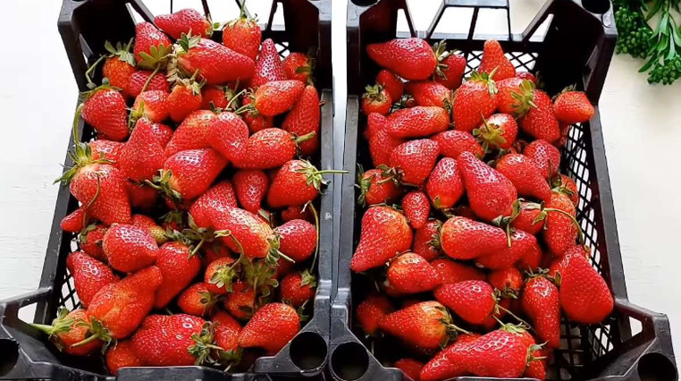 საქართველოში მარწყვის იმპორტი 3,4-ჯერ გაიზარდა – სად და რა ფასად ...